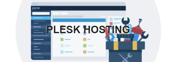 Plesk Hosting - DomainsNed